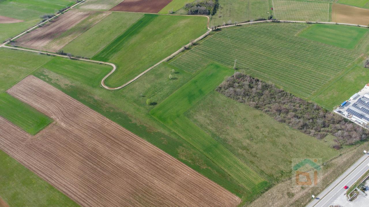 Terreno agricolo in vendita a San Giovanni Al Natisone