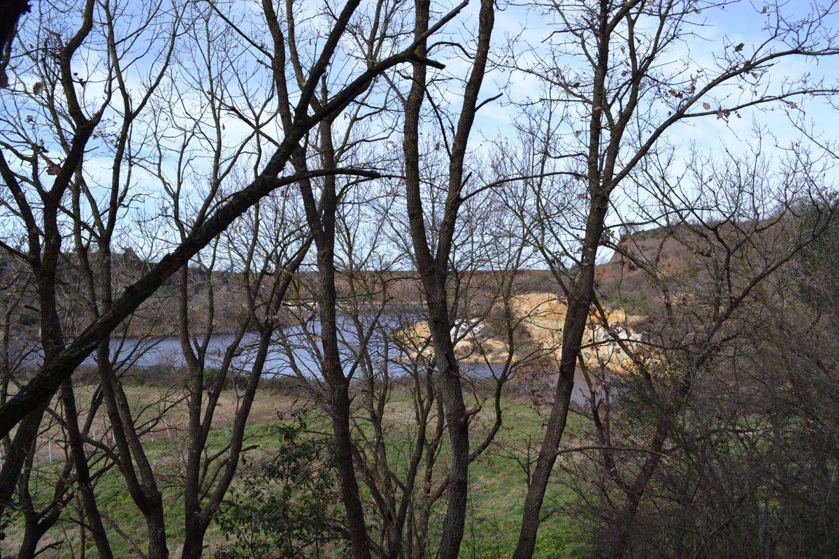 Terreno agricolo in vendita a Roma
