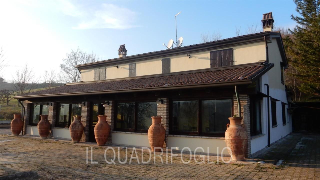 Azienda agricola in affitto a Roncofreddo