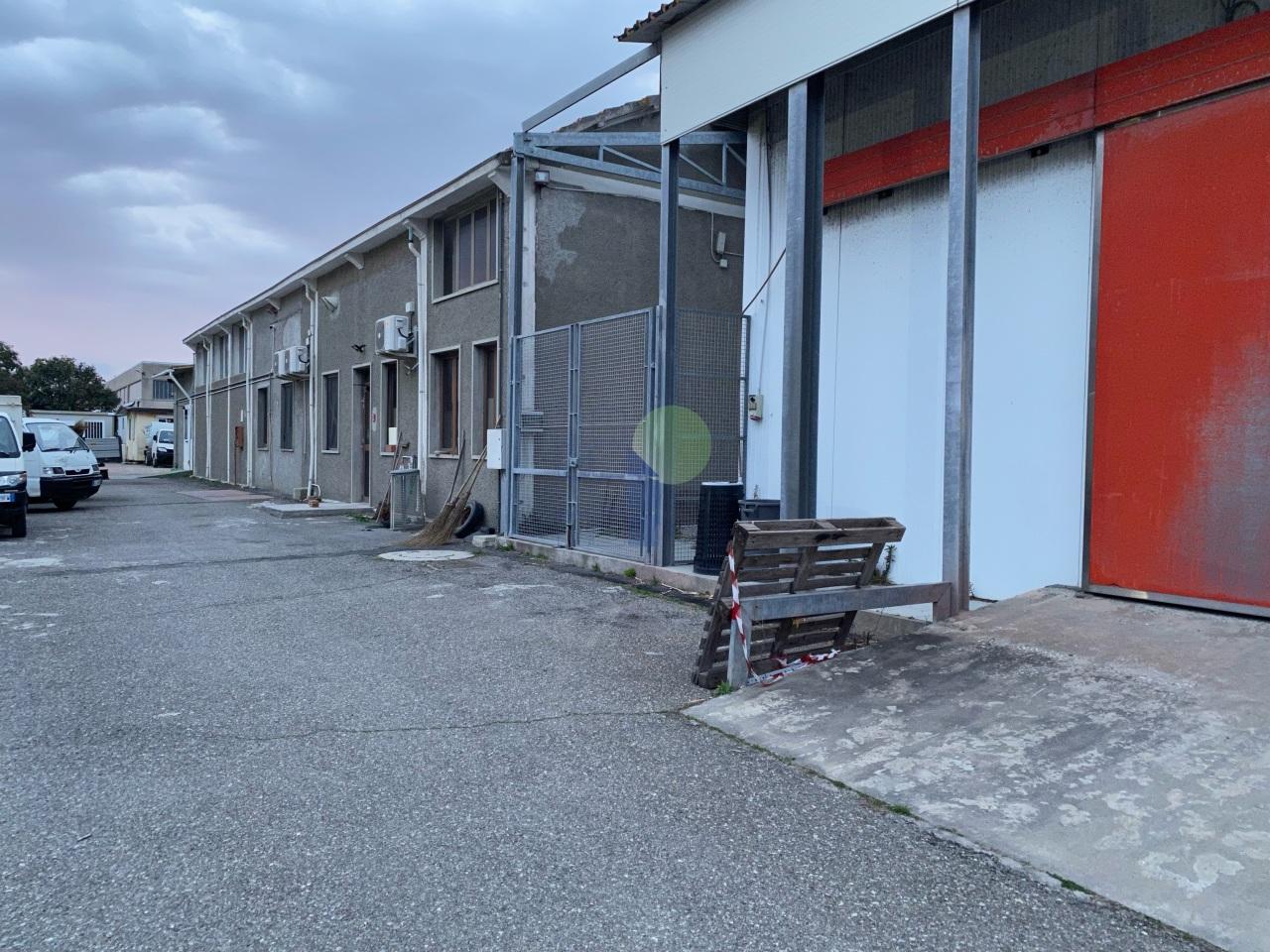 Capannone in affitto a Rosignano Marittimo