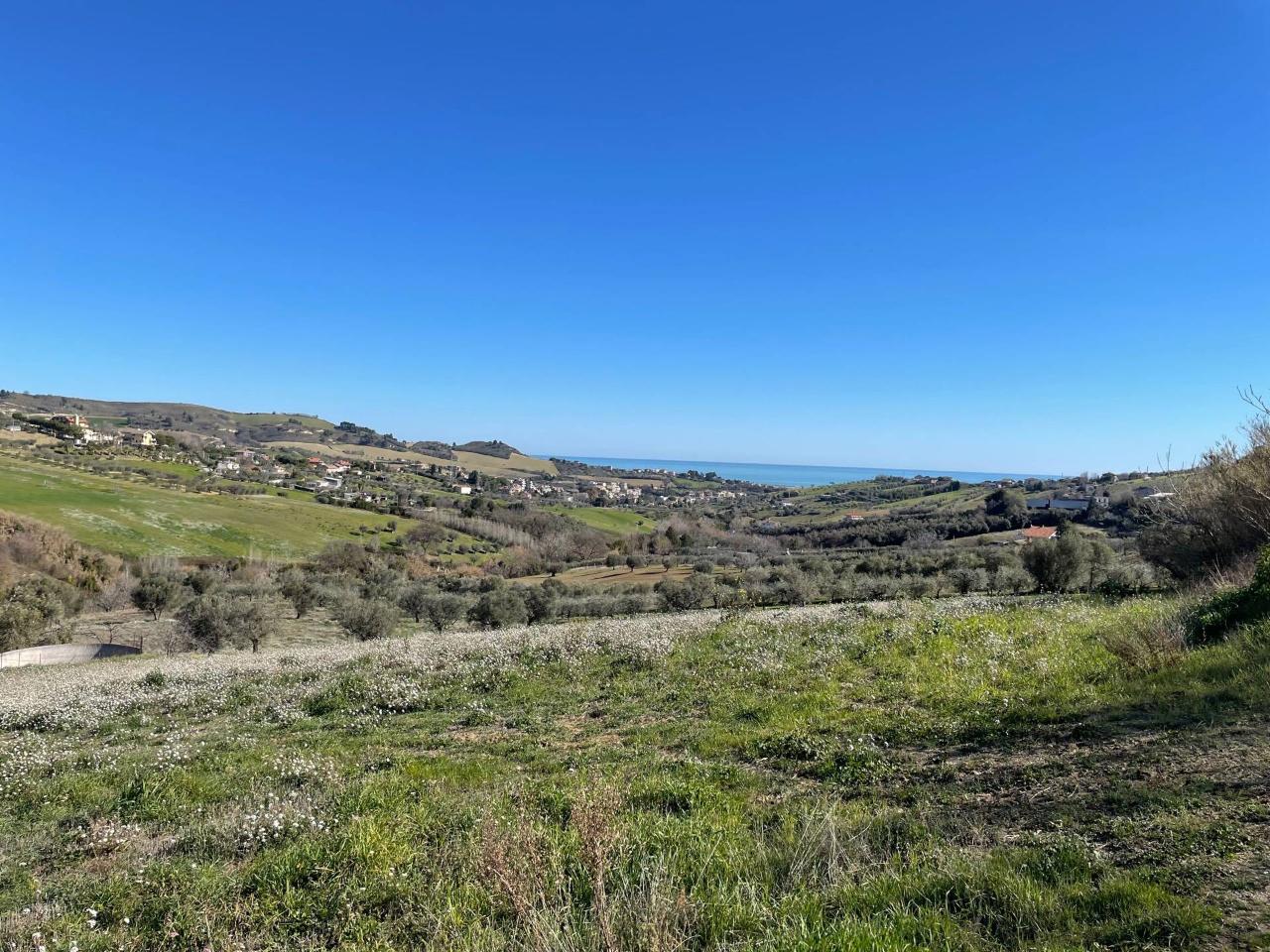 Terreno agricolo in vendita a Acquaviva Picena