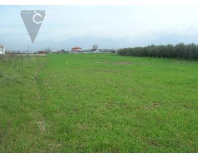 Terreno edificabile residenziale in vendita a Legnaro