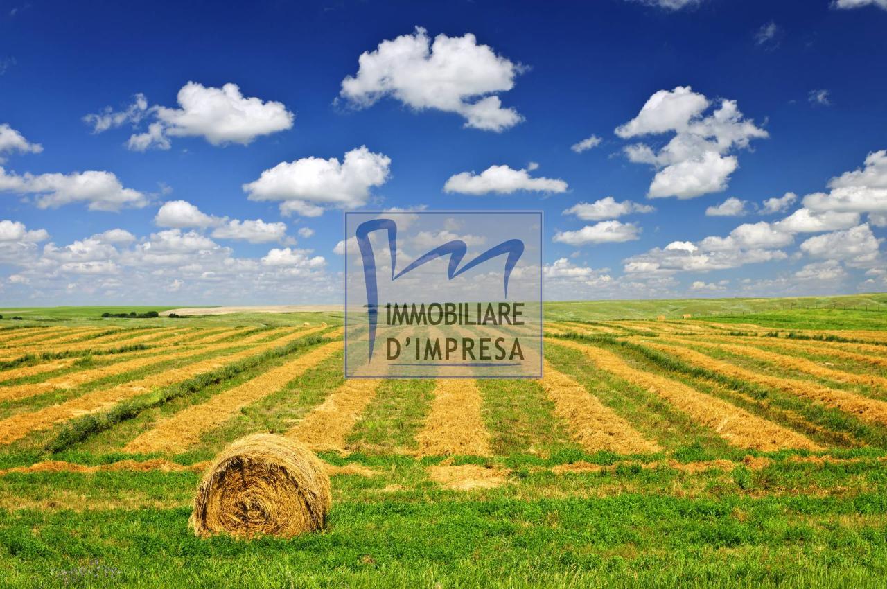 Terreno agricolo in vendita a Parma