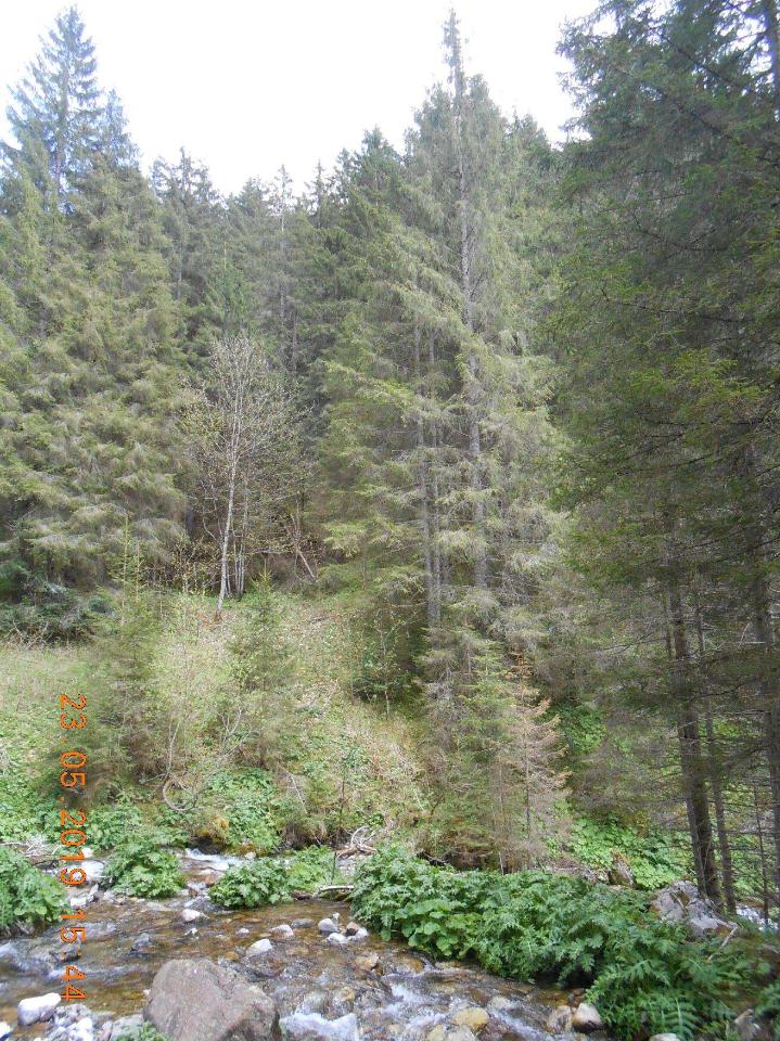 Terreno agricolo in vendita a Schilpario