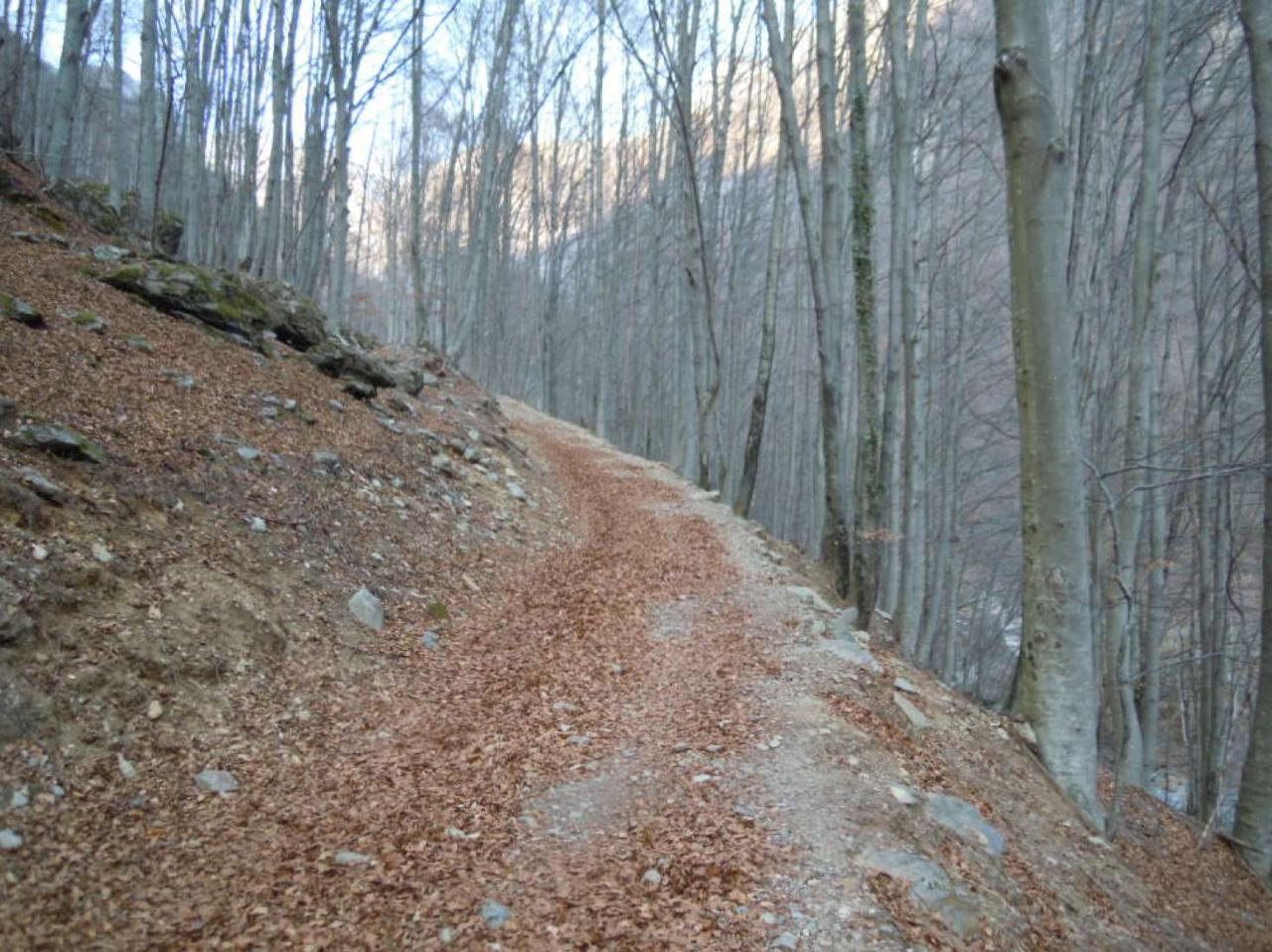 Terreno agricolo in vendita a Valbondione