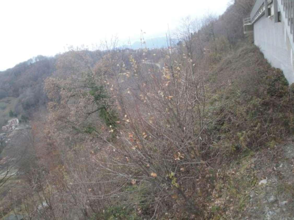 Terreno agricolo in vendita a Aviatico