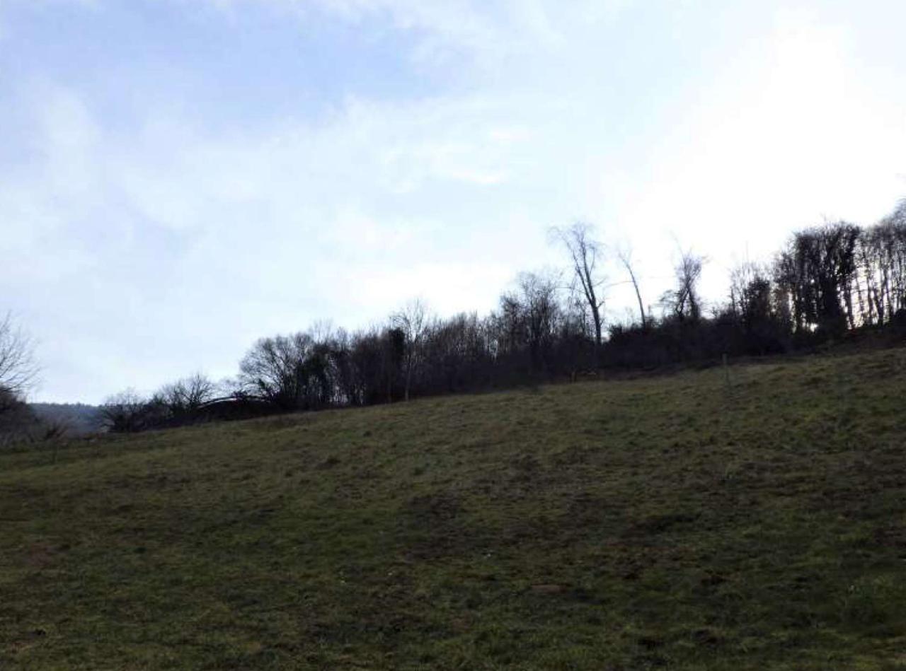 Terreno agricolo in vendita a Grone