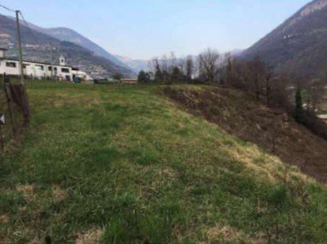 Terreno agricolo in vendita a Adrara San Martino