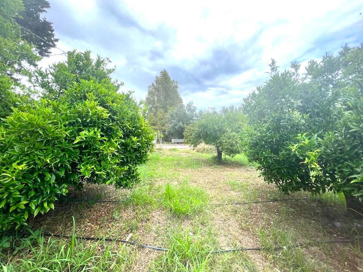 Terreno agricolo in vendita a Villaputzu