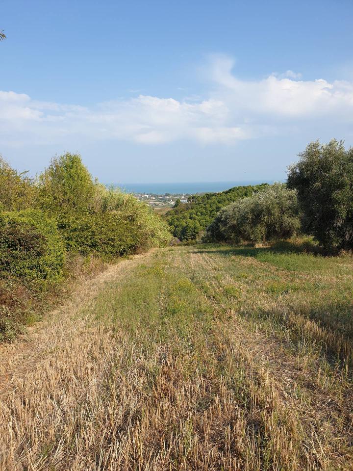 Terreno agricolo in vendita a Colonnella