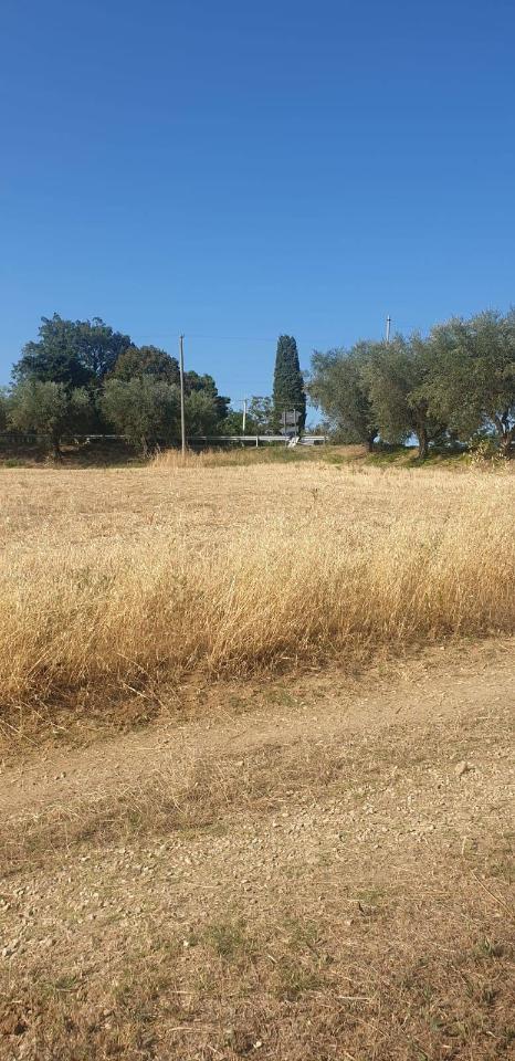 Terreno agricolo in vendita a Mosciano Sant'Angelo