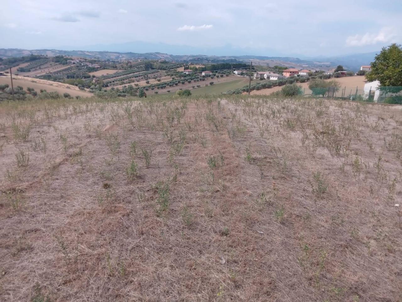 Terreno edificabile residenziale in vendita a Tortoreto