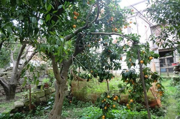 Casa indipendente in vendita a Ittiri