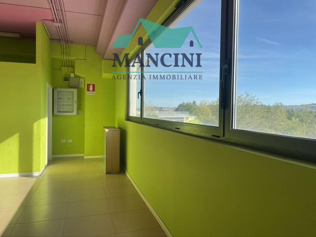 Negozio in affitto a Jesi