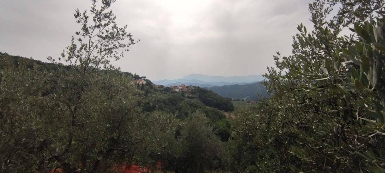 Terreno agricolo in vendita a Ascoli Piceno