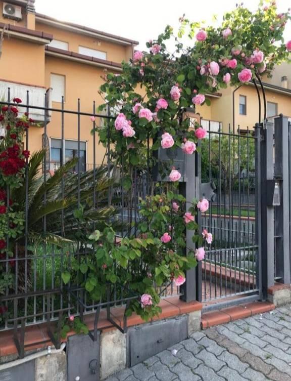 Villa a schiera in vendita a Cupra Marittima