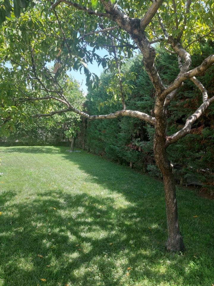 Appartamento in vendita a Taggia