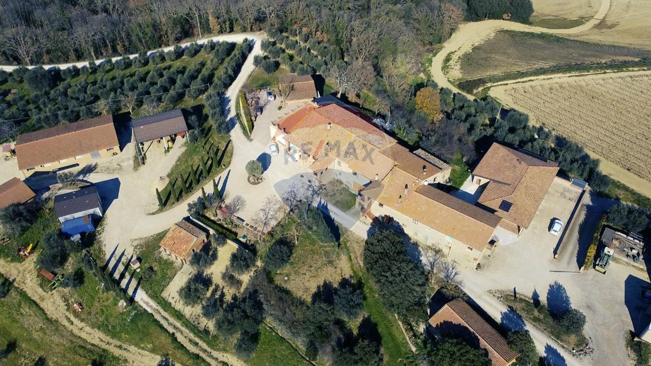 Azienda agricola in vendita a Montalcino