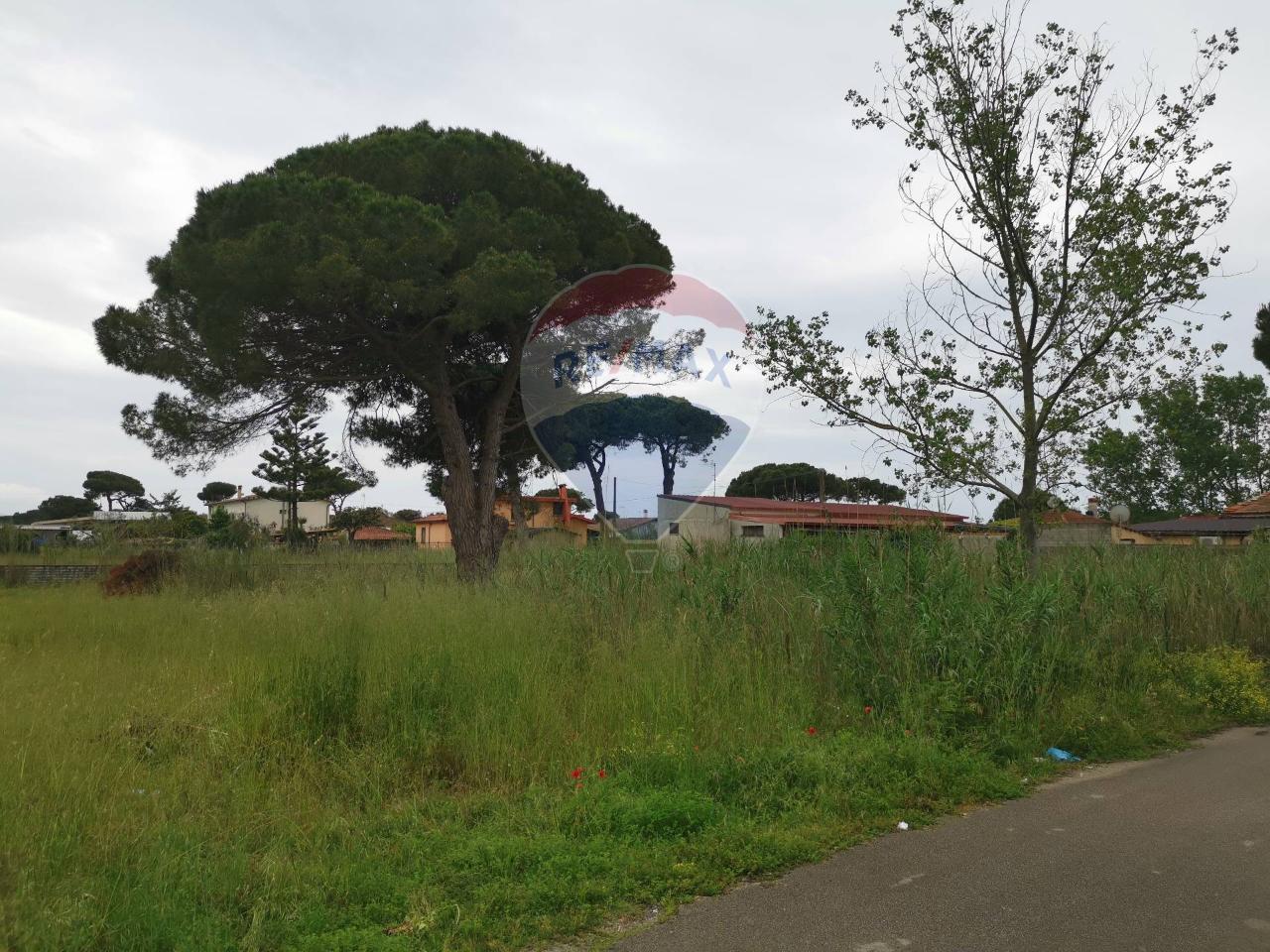 Terreno agricolo in vendita a Minturno