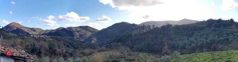 Terreno agricolo in vendita a Ne