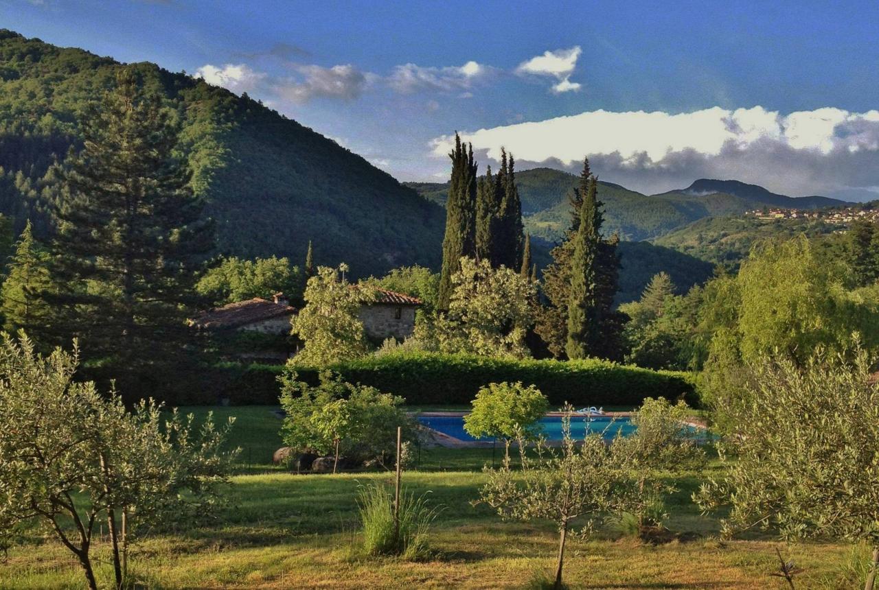 Rustico in vendita a Castel Focognano