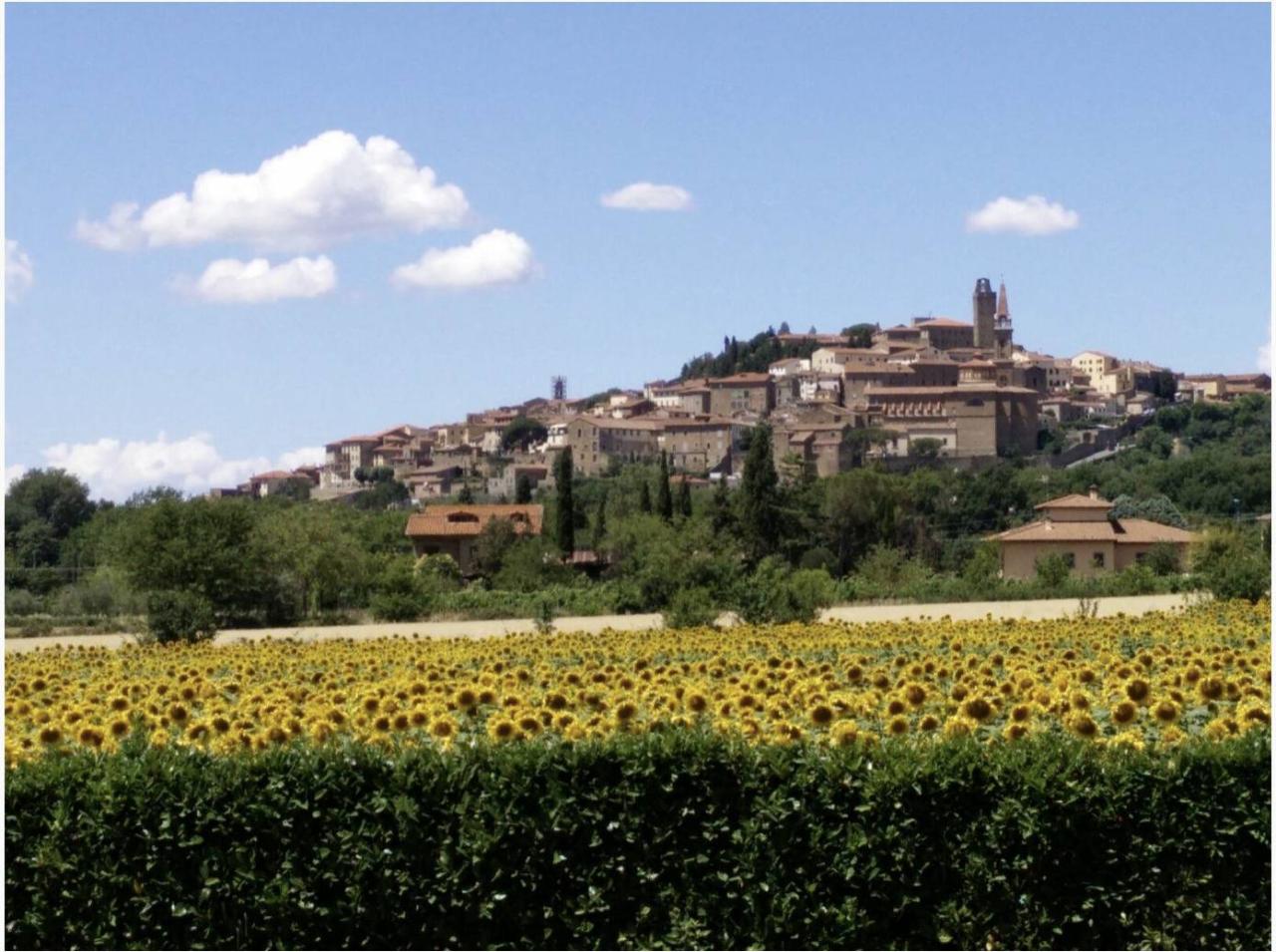 Villa in vendita a Castelfiorentino
