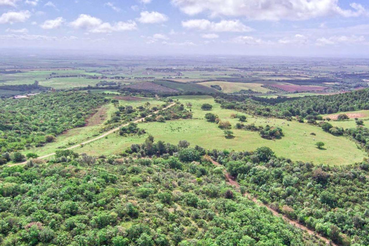 Azienda agricola in vendita a Capalbio
