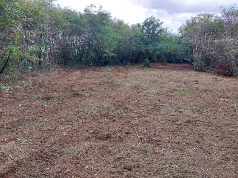 Terreno agricolo in vendita a Gallarate