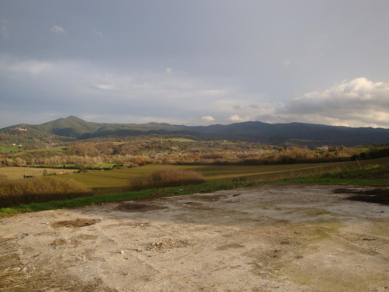 Terreno agricolo in vendita a Cecina