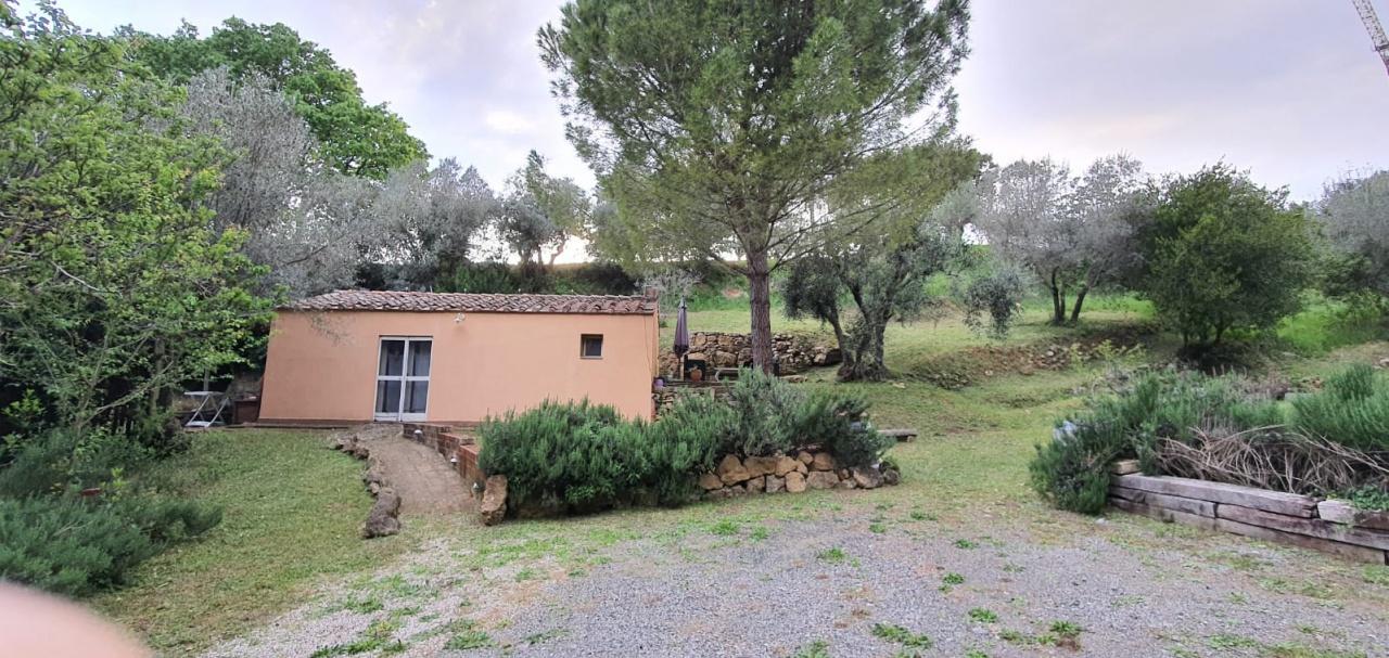 Terreno con rustico in vendita a Casale Marittimo