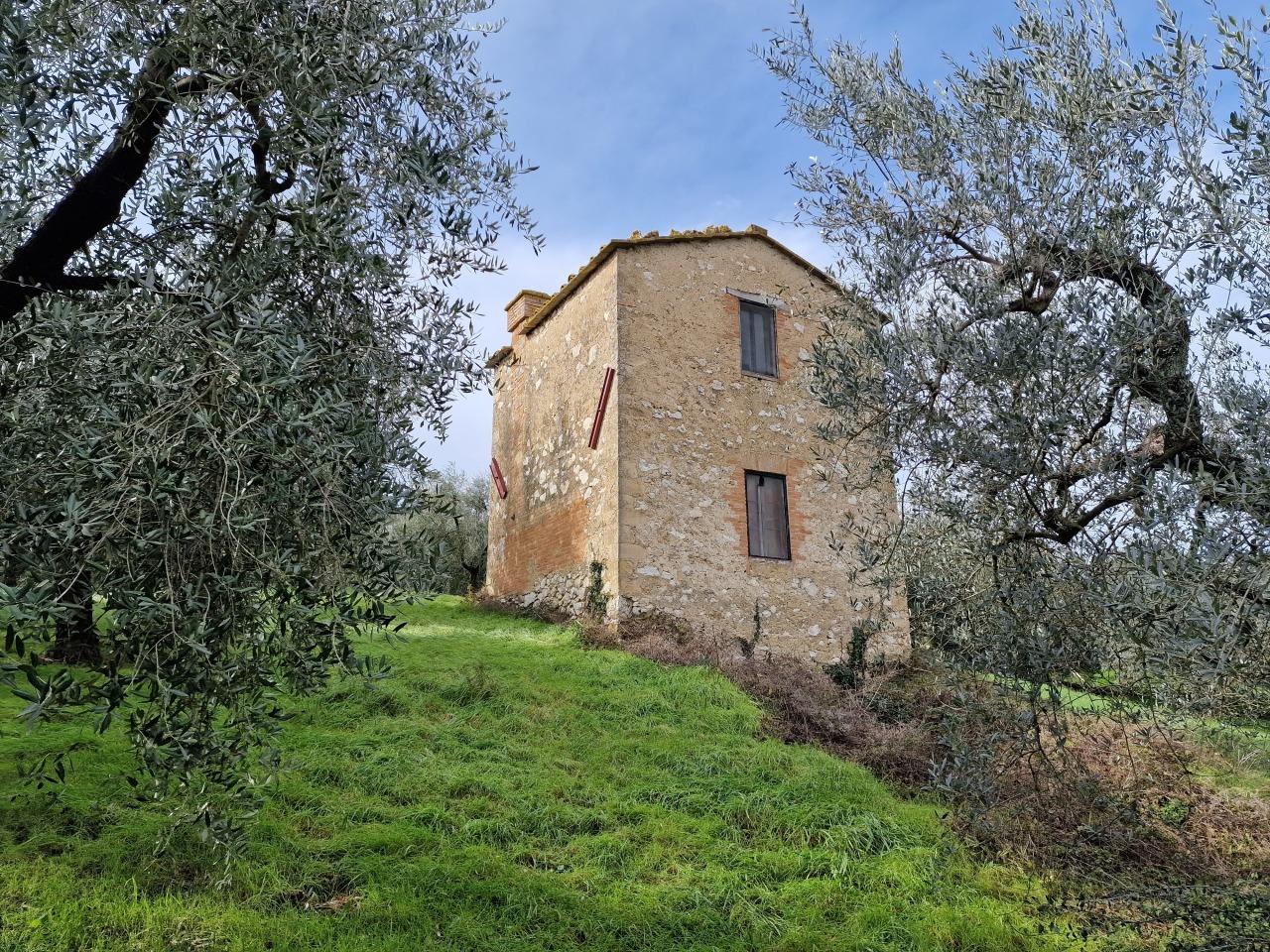 Casa indipendente in vendita a Amelia