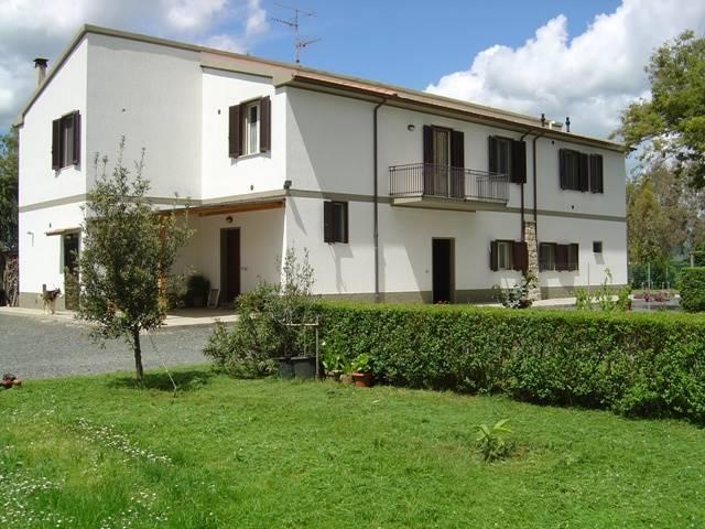 Azienda agricola in vendita a Roccastrada