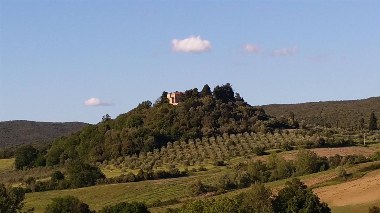 Azienda agricola in vendita a Massa Marittima
