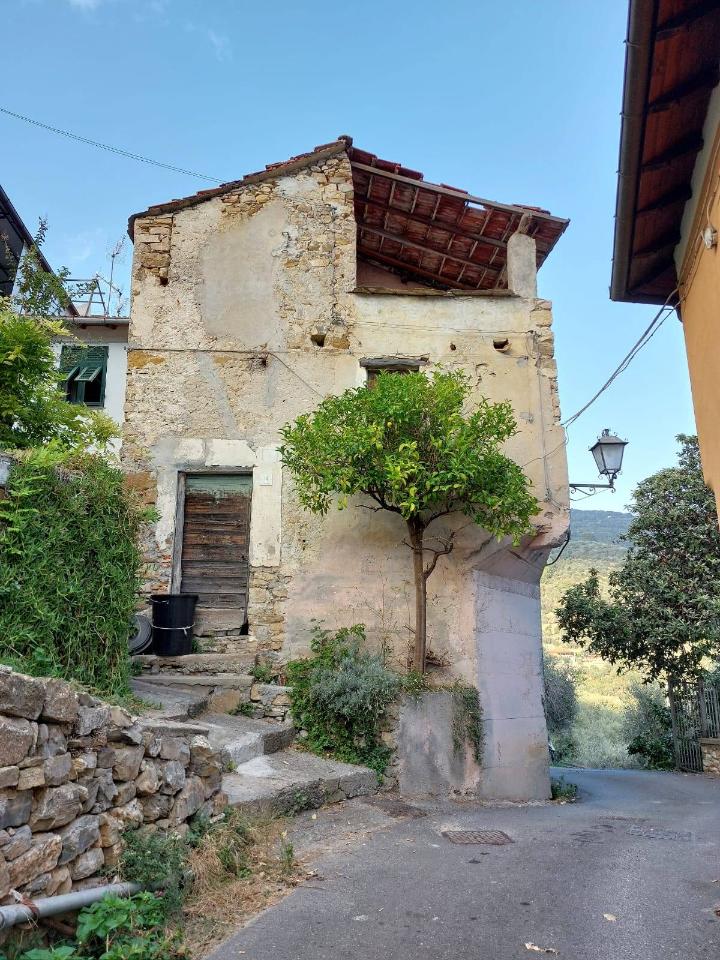 Casa indipendente in vendita a Diano Arentino