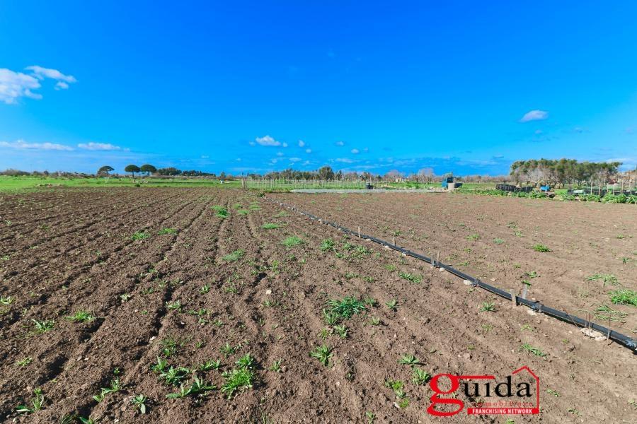 Terreno edificabile in vendita a Matino
