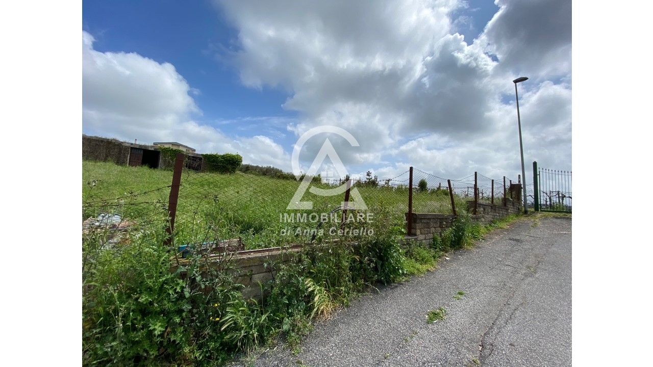 Capannone in vendita a Roma