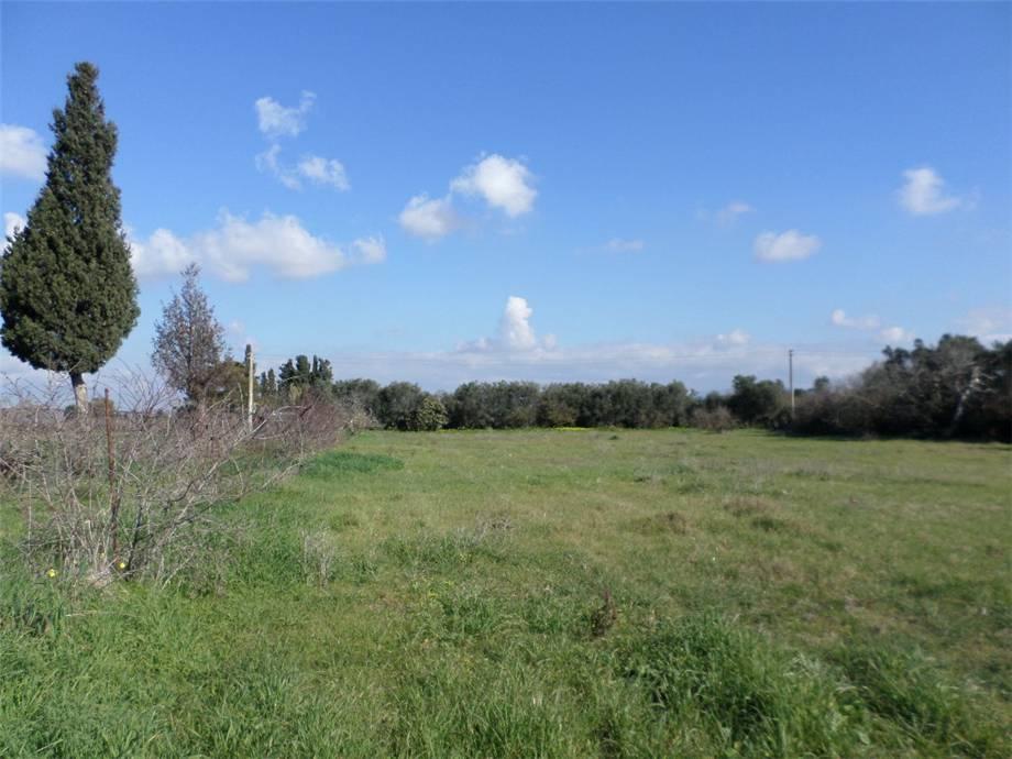 Terreno edificabile commerciale in vendita a Assemini