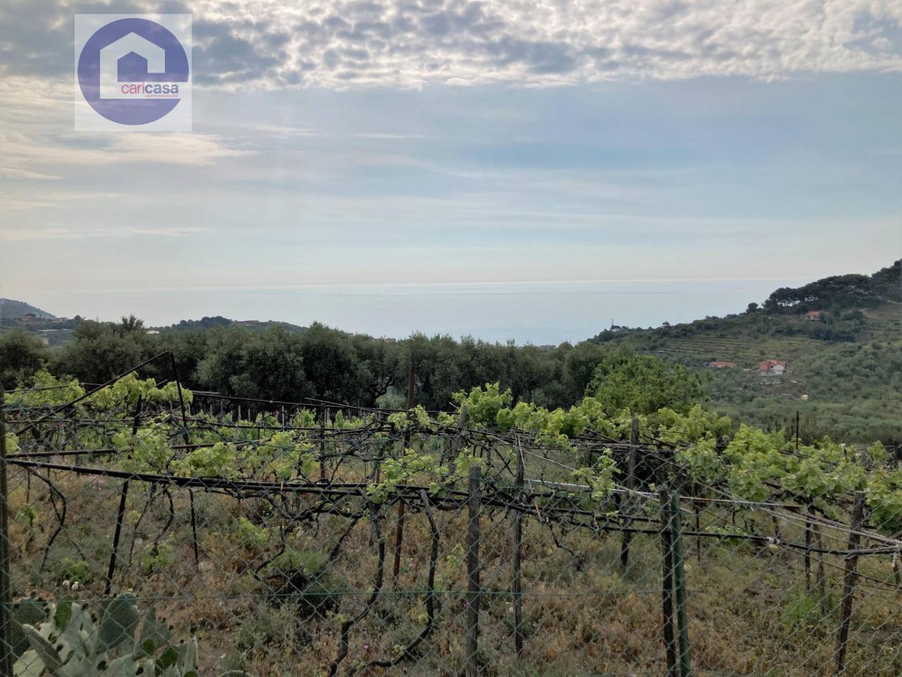 Casa indipendente in vendita a Costarainera