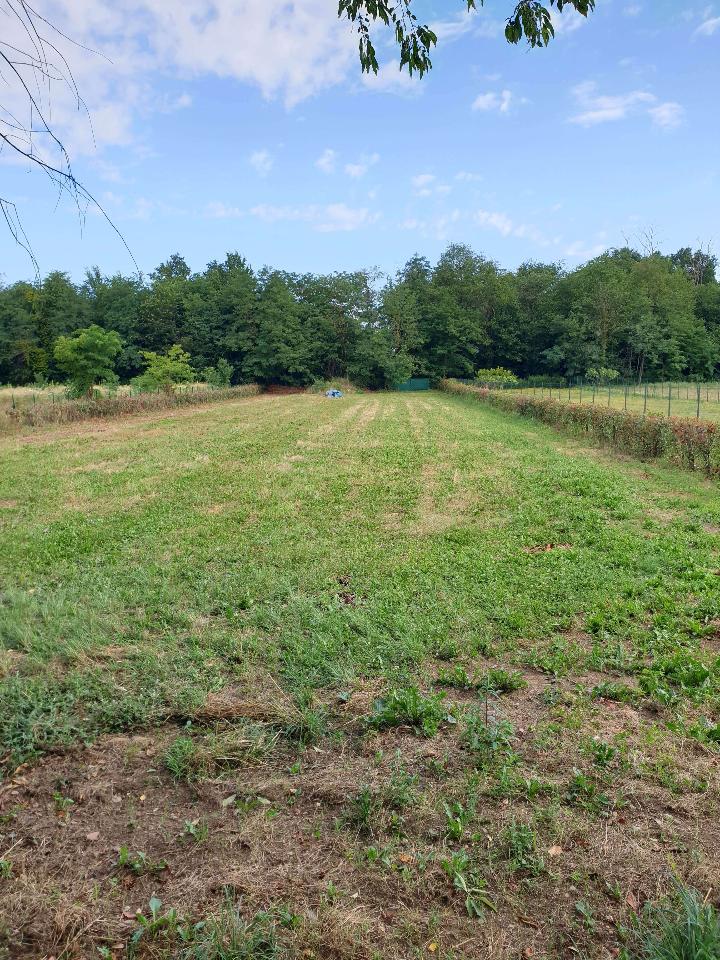 Terreno agricolo in vendita a Olgiate Olona