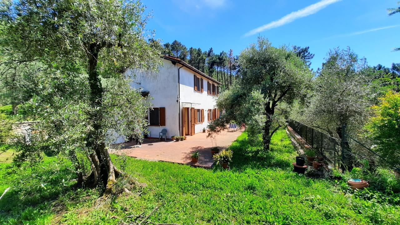 Rustico in vendita a Capannori