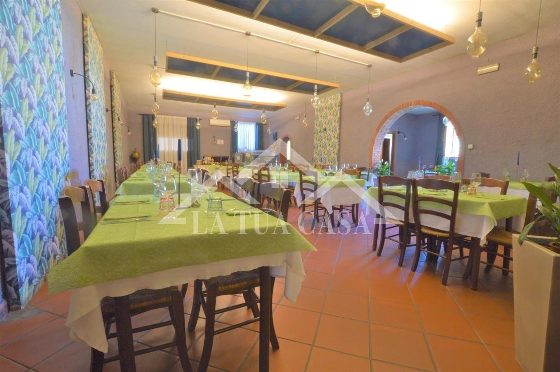 Negozio in vendita a Viareggio