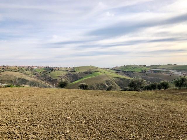 Terreno edificabile residenziale in vendita a Mosciano Sant'Angelo