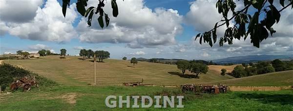 Terreno agricolo in vendita a Scansano