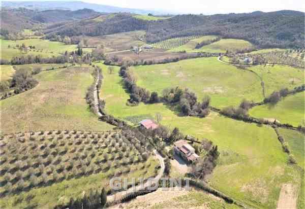 Terreno agricolo in vendita a Cinigiano