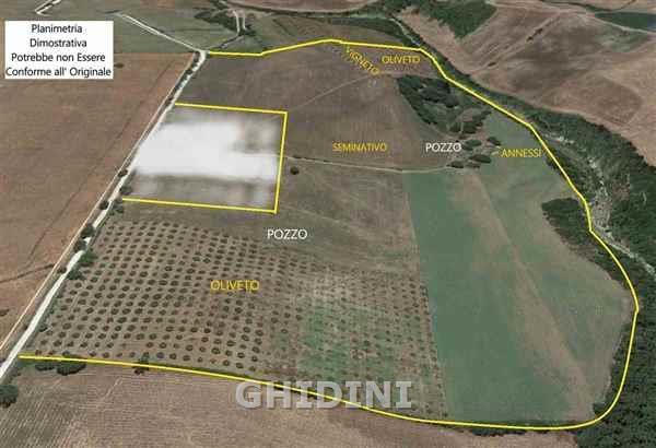 Terreno agricolo in vendita a Scansano
