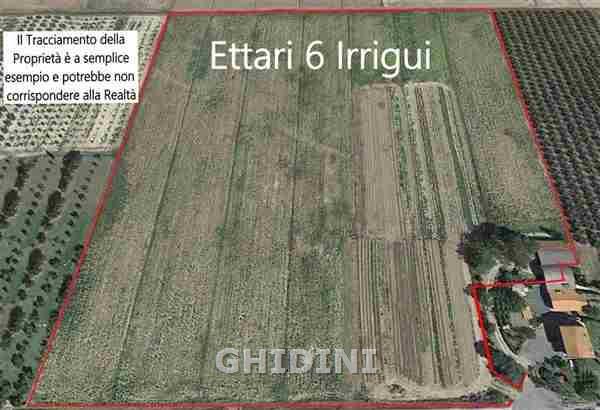 Terreno agricolo in vendita a Grosseto
