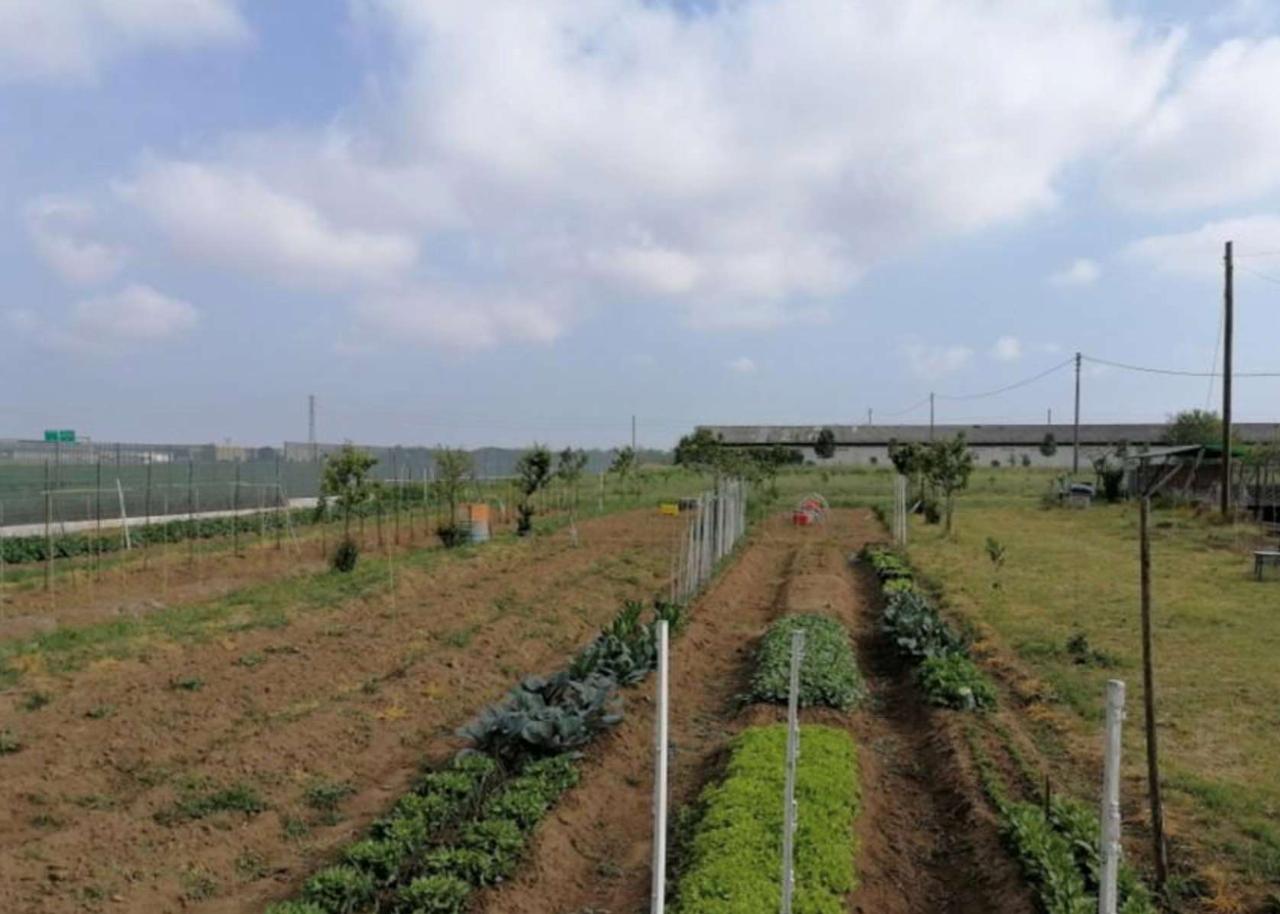 Terreno agricolo in vendita a Pontevico
