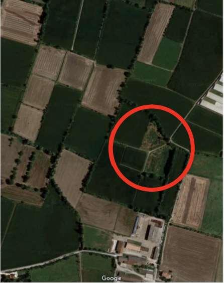 Terreno agricolo in vendita a Isorella