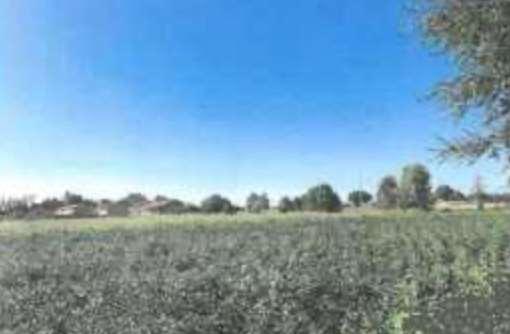 Terreno edificabile in vendita a Alfianello