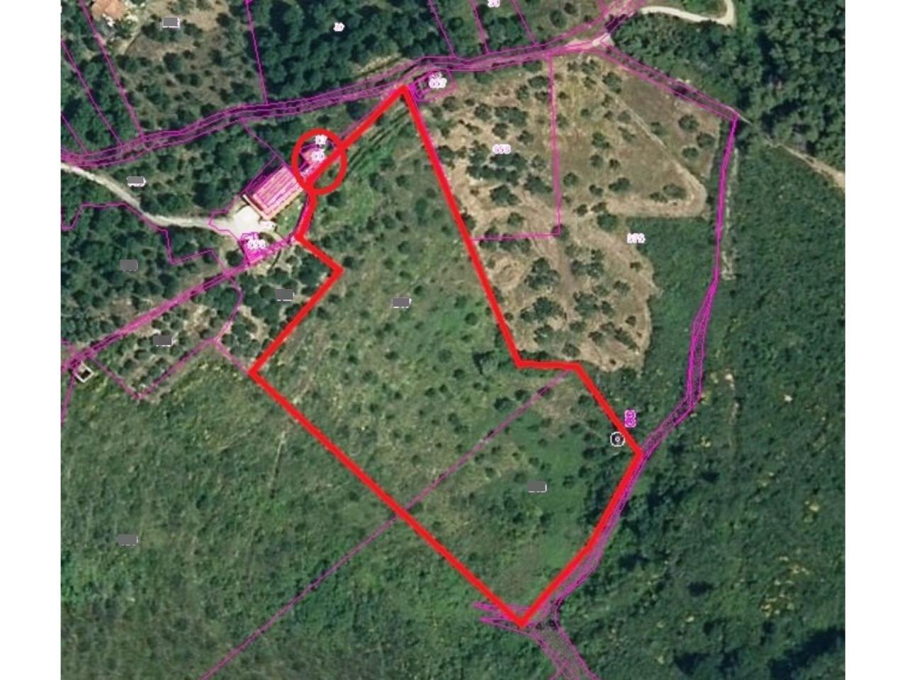 Rustico in vendita a Casal Velino